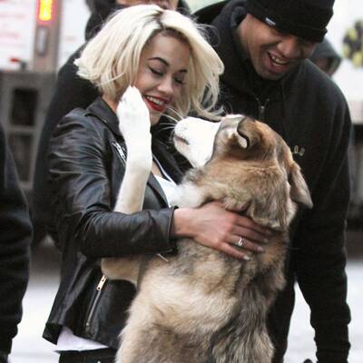 Rita Ora kuschelt bei Fotoshooting mit Hund - oe24.at