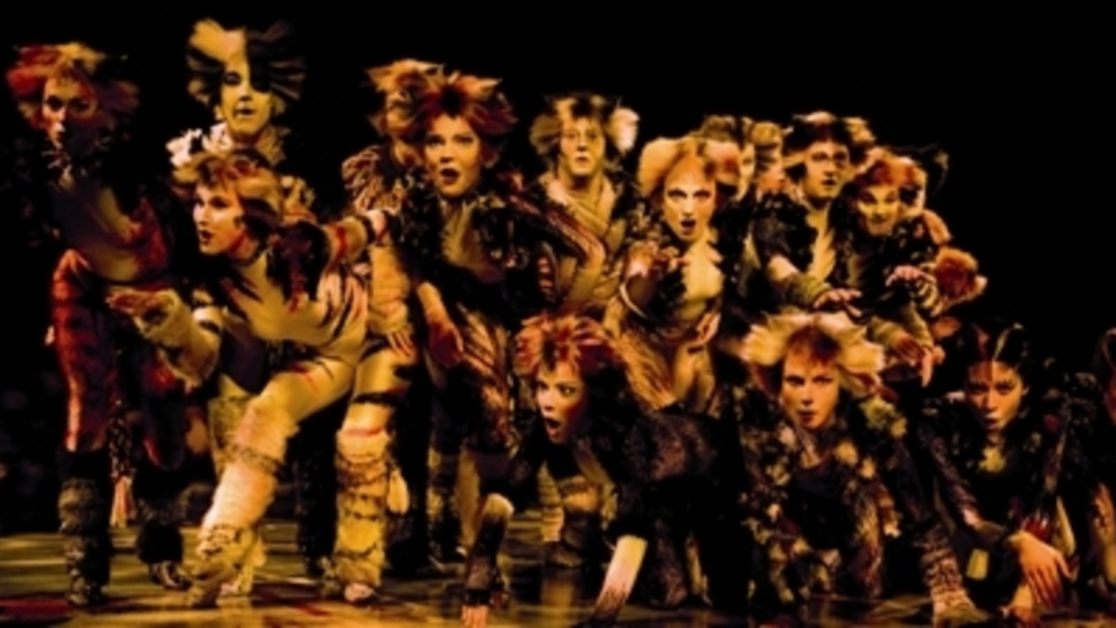Der "Cats"- Musical Countdown