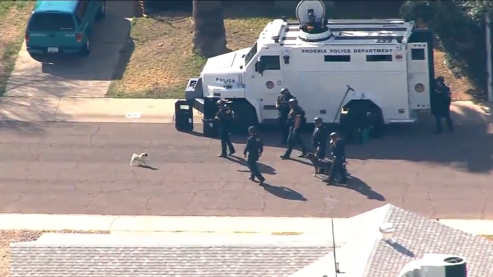 Mops ärgert SWAT-Kommando