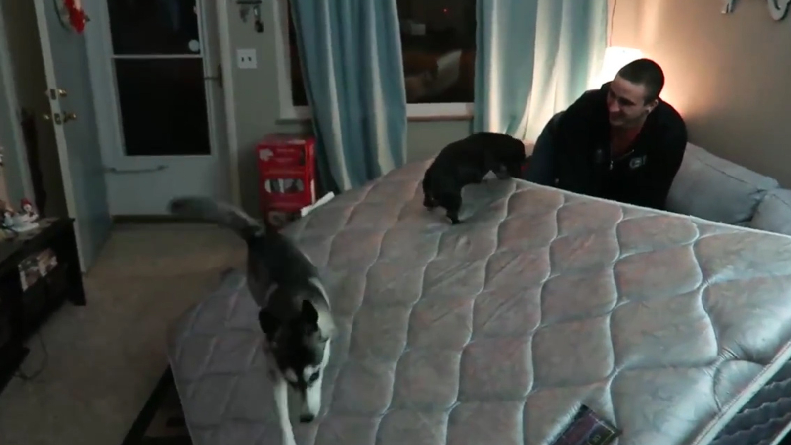 Hunde lieben das Rutschen - oe24.at