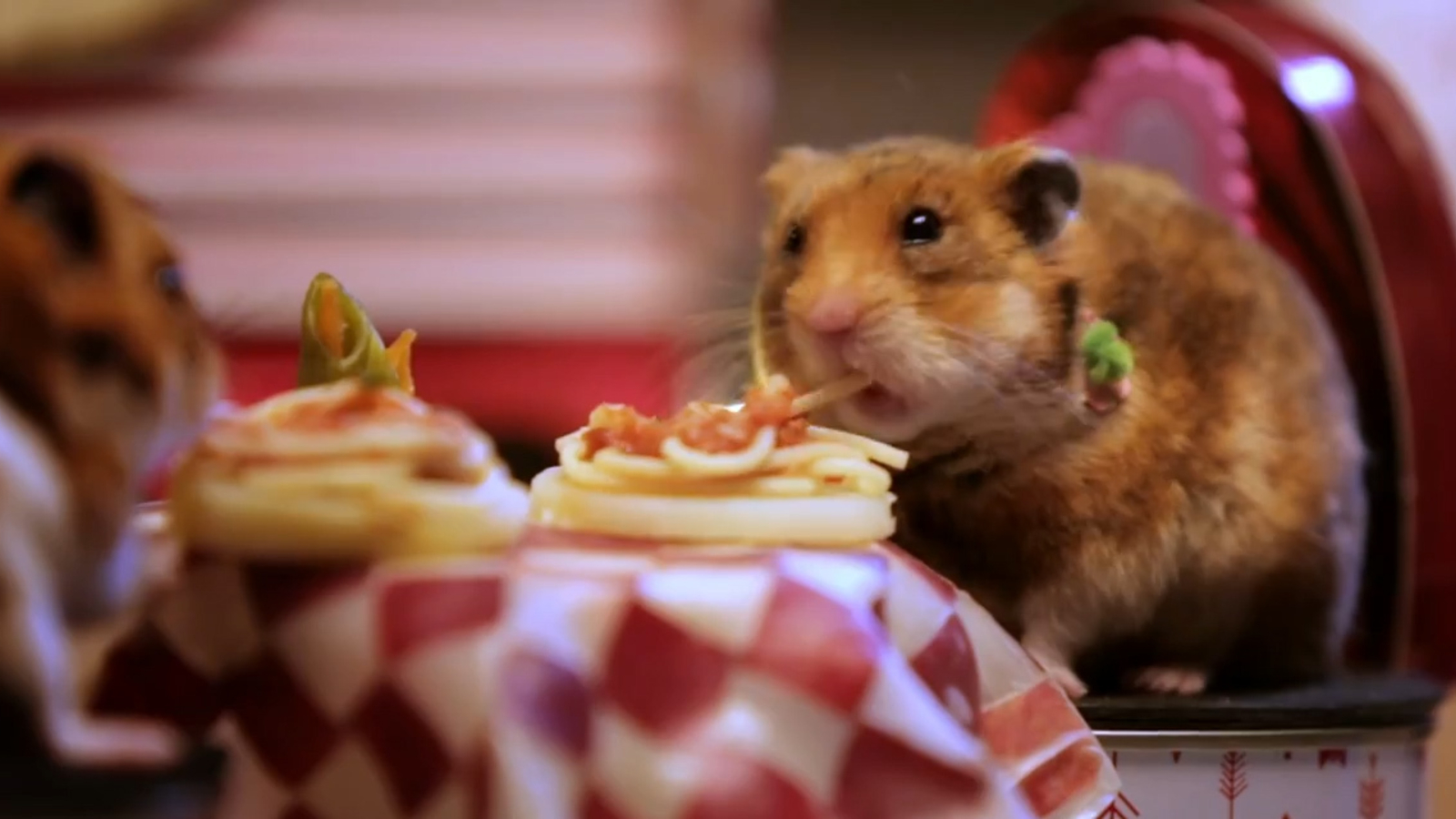 Ein Dinner für Hamster