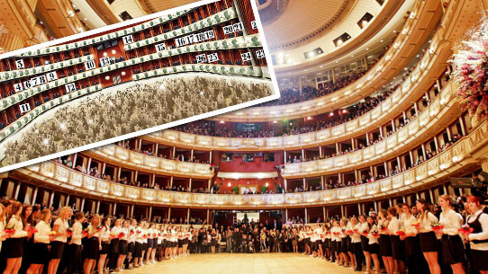 Opernball: Der geheime Logen-Plan - oe24.at