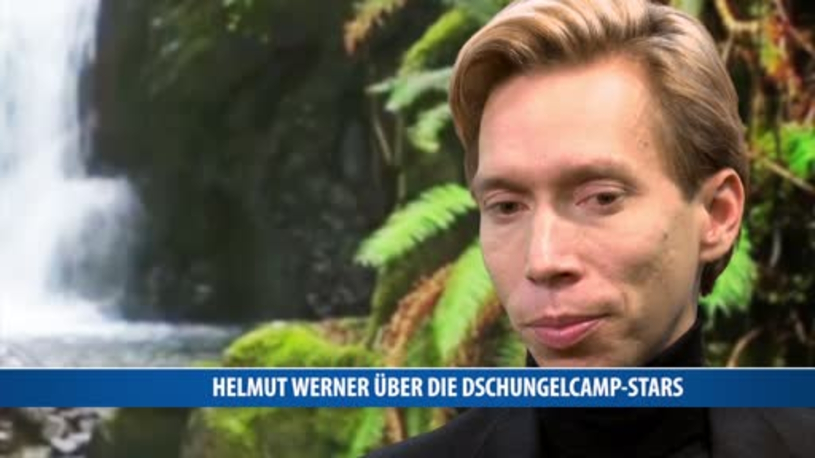 Helmut Werner über die Dschungelcamp-Stars - oe24.at