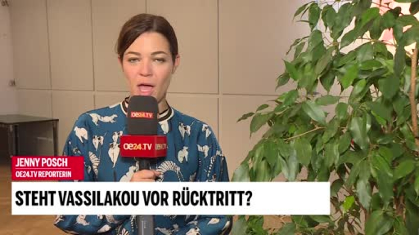 Maria Vassilakou verzichtet auf Spitzenkanditatur