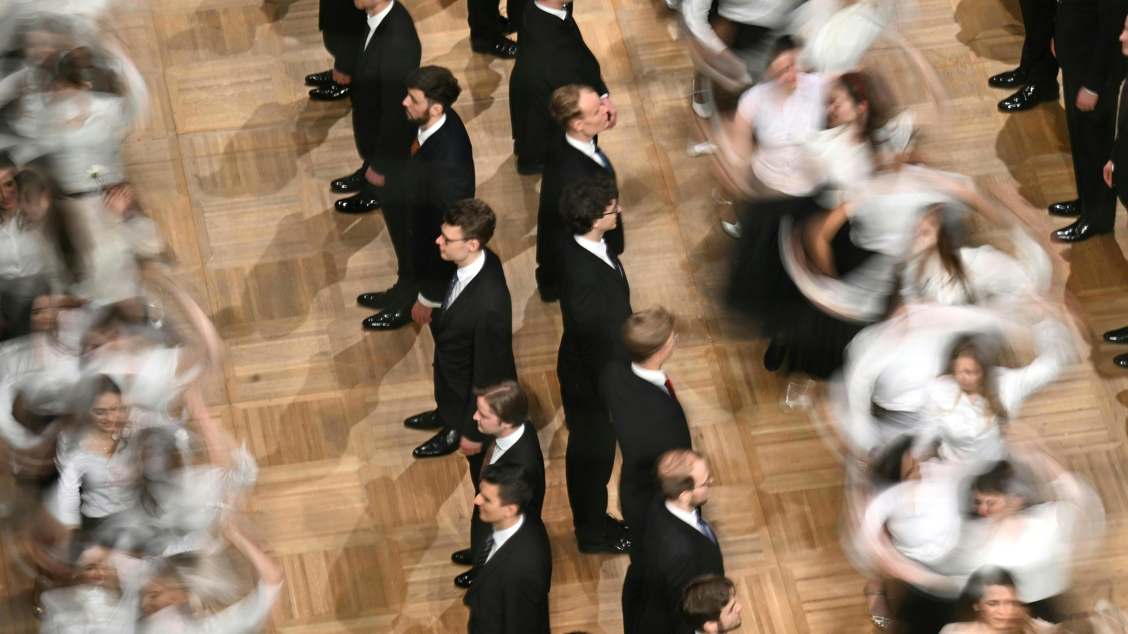 Schnäppchen: Das ist der billigste Weg aufs Opernball-Parkett