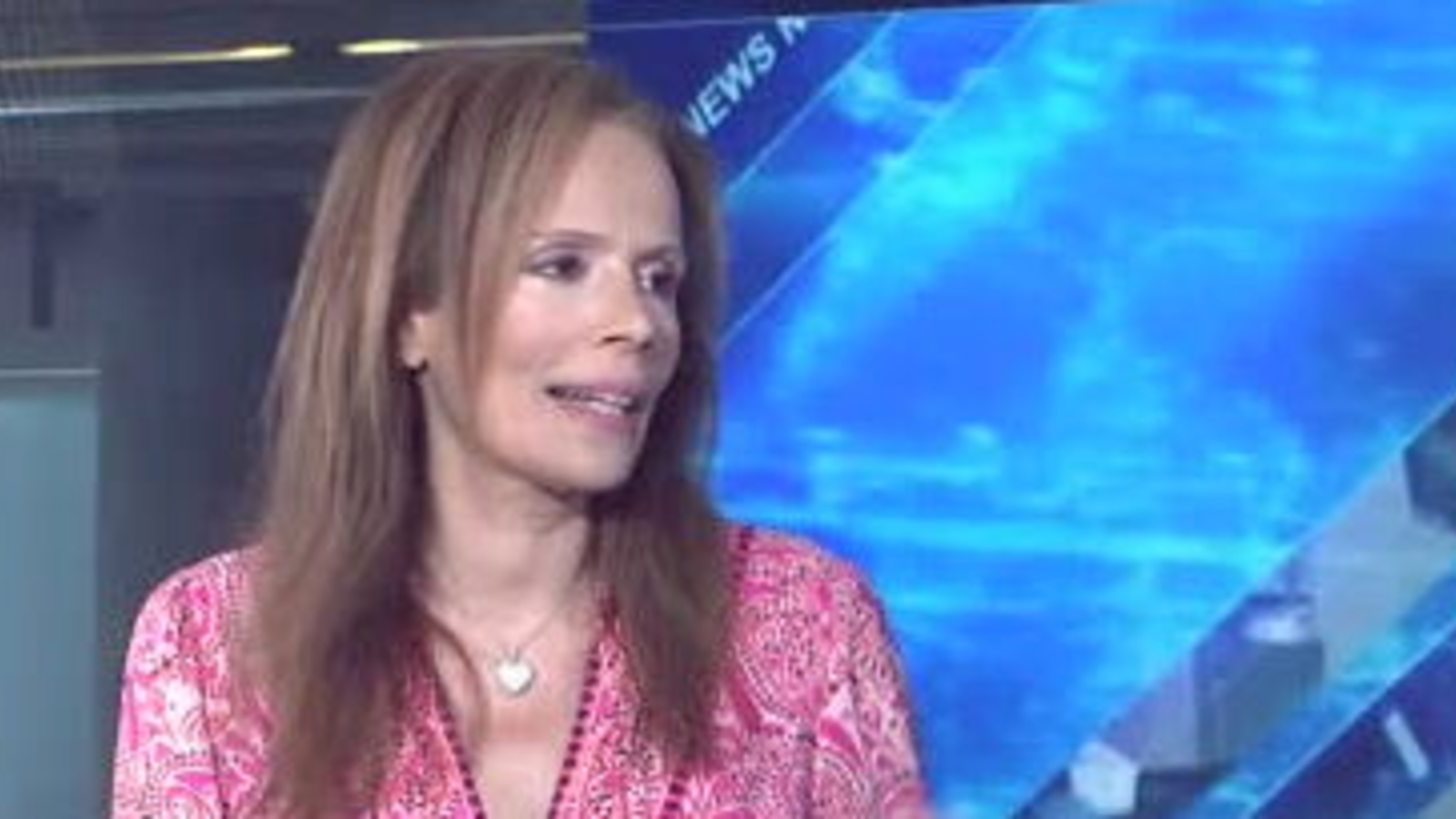 Showdown um den SPÖ-Vorsitz | Isabelle Daniel - oe24.at