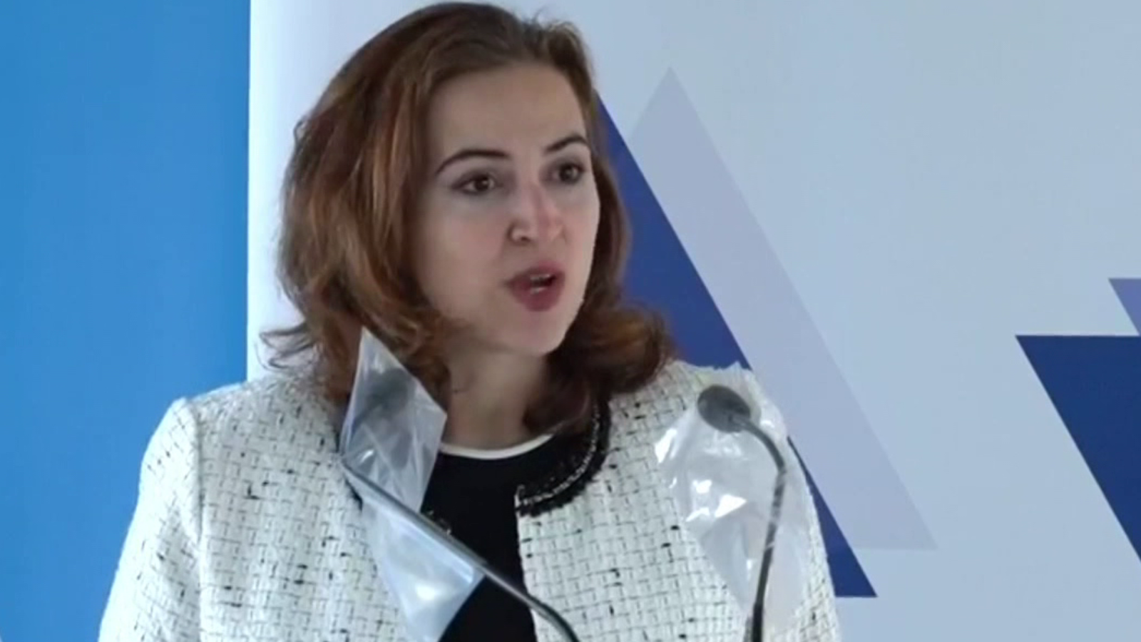 Alma Zadic zu 70 Jahren europäischer Menschenrechtskonvention - oe24.at