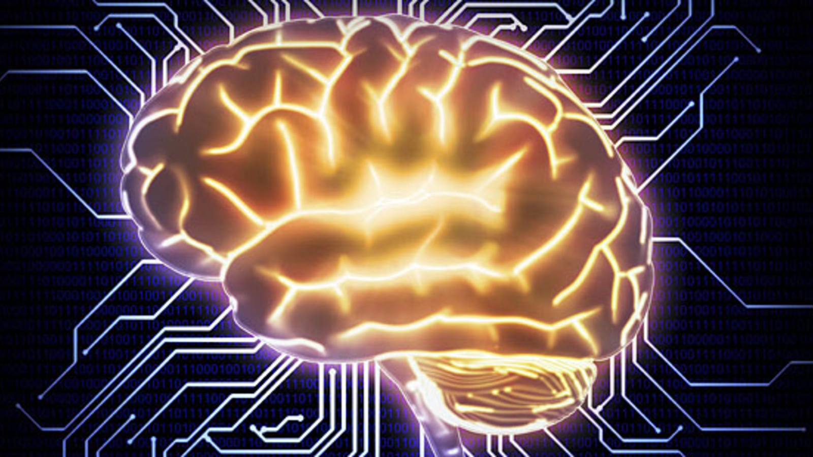 IBM entwickelt Computer-Gehirn