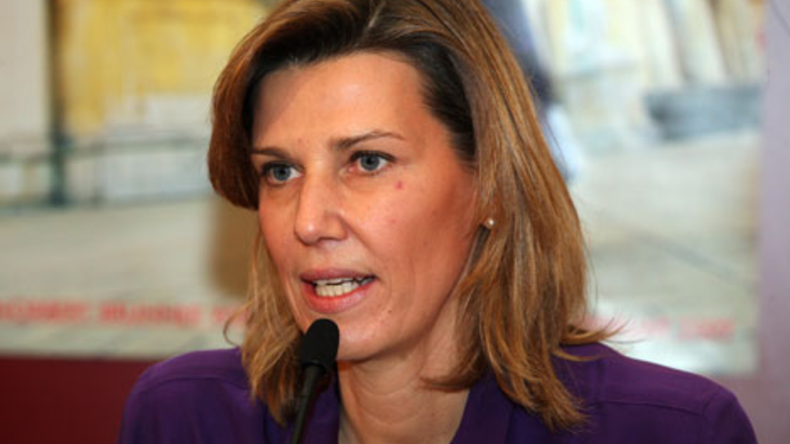 Treichl-Stürgkh wehrt sich gegen "Desavouierung"