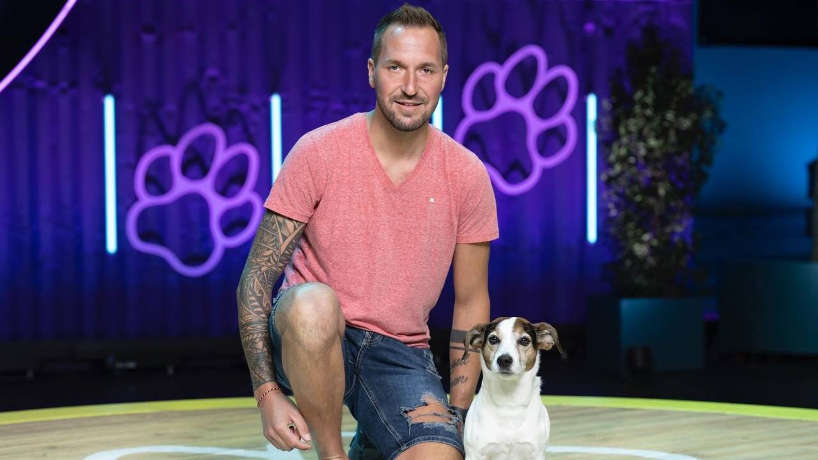 Austro-Hund als neuer Top-Dog?