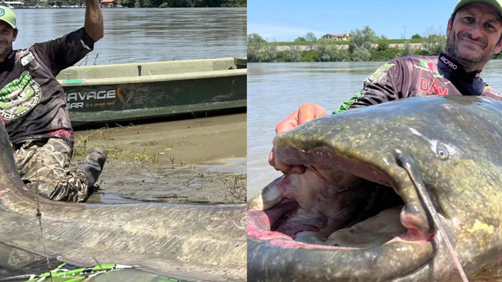 150kg: Mann fischte größten Wels aller Zeiten aus Fluss