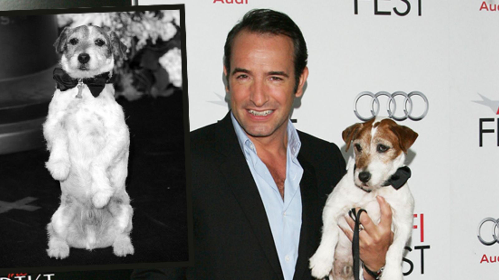 Uggie aus "The Artist" ist tot - oe24.at