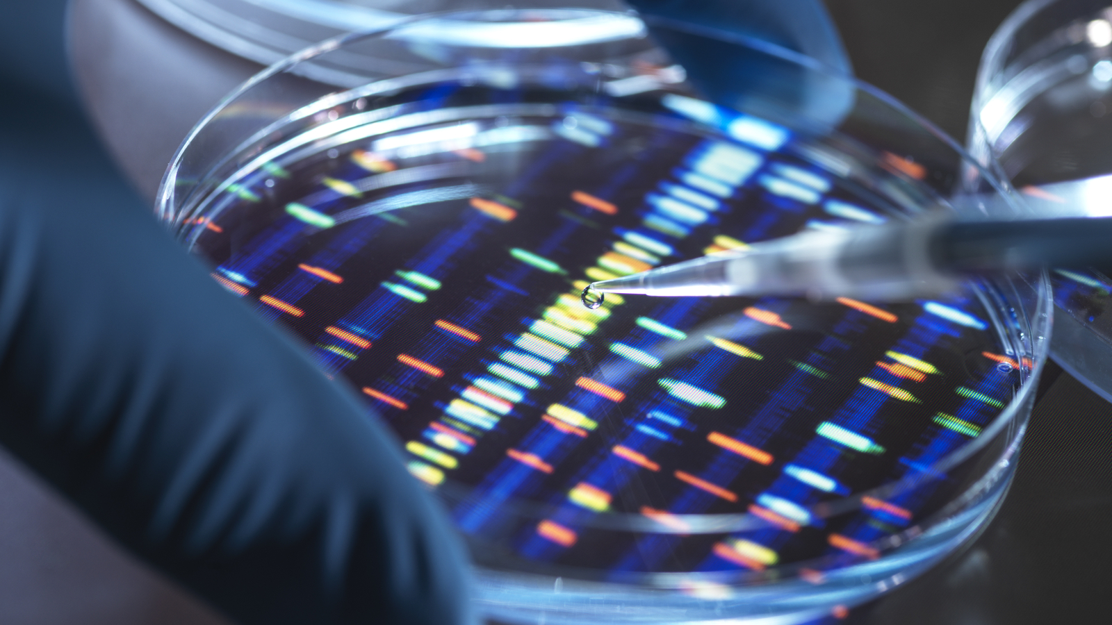 Erste 'Genmanipulierte'-Kinder der Welt leben 'normales' Leben