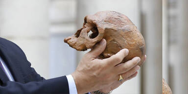 Der moderne Mensch ist wesentlich älter als bisher angenommen