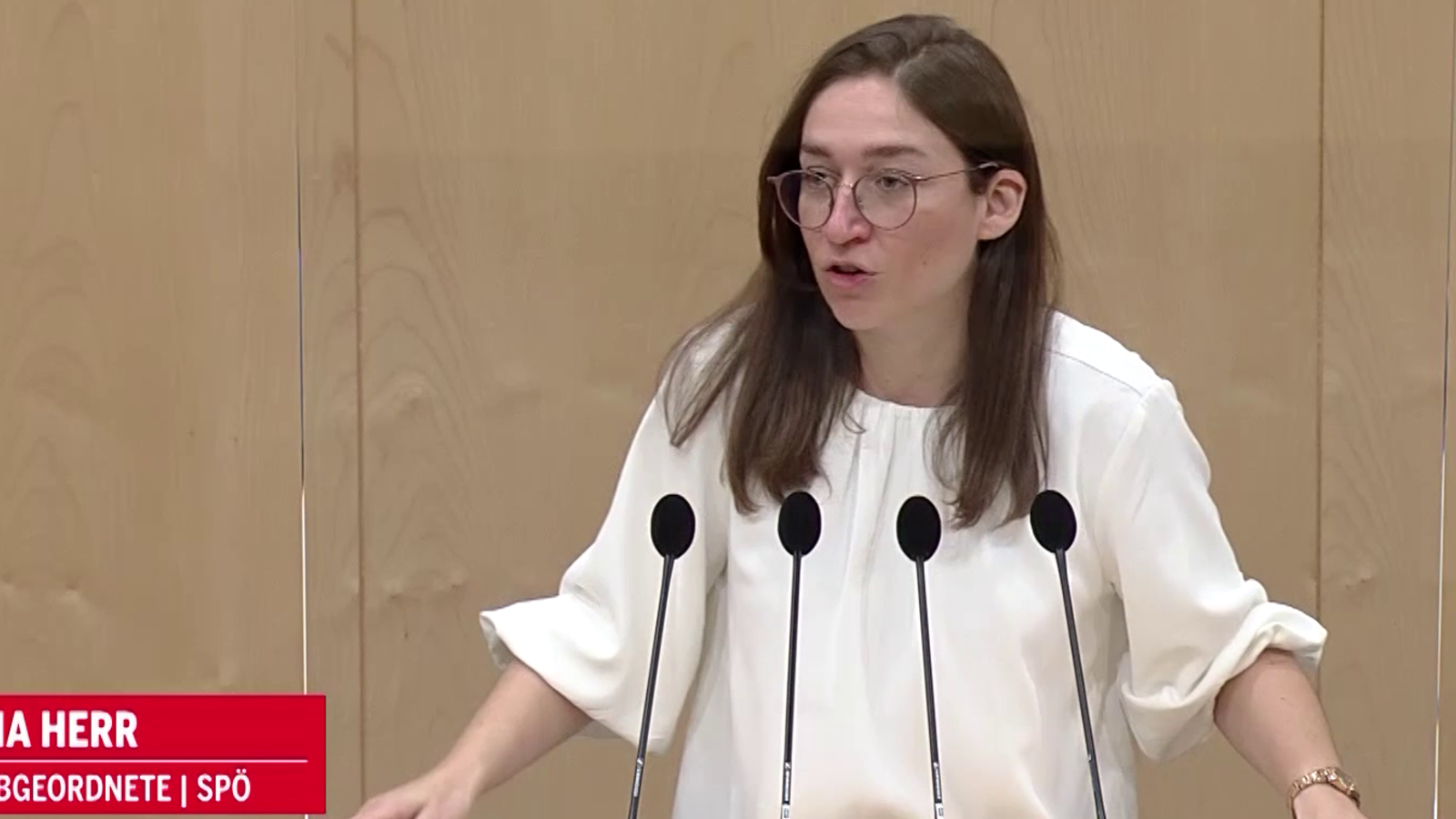 Budget 2022: Statement von Julia Herr - oe24.at