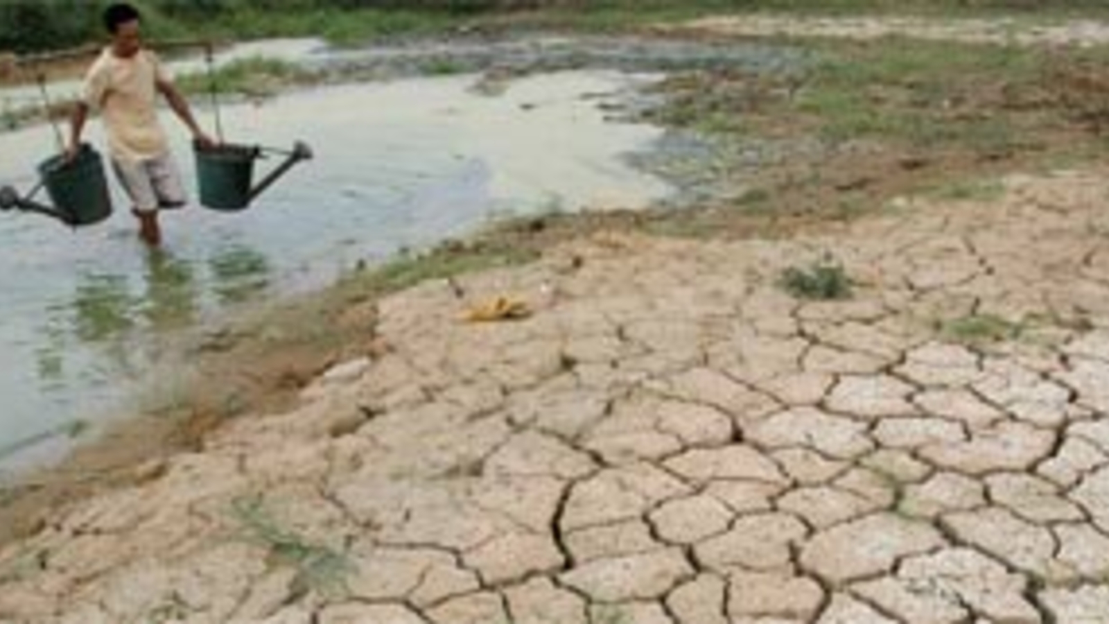 Folgen des Klimawandels unumkehrbar? - oe24.at