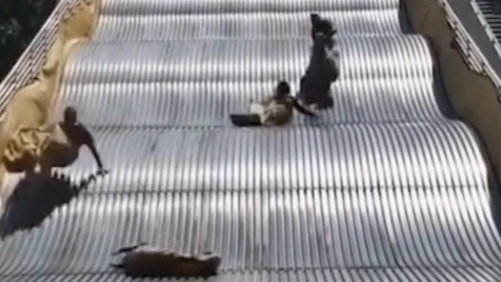 Hilfe, bei dieser Rutsche hört der Spaß auf!