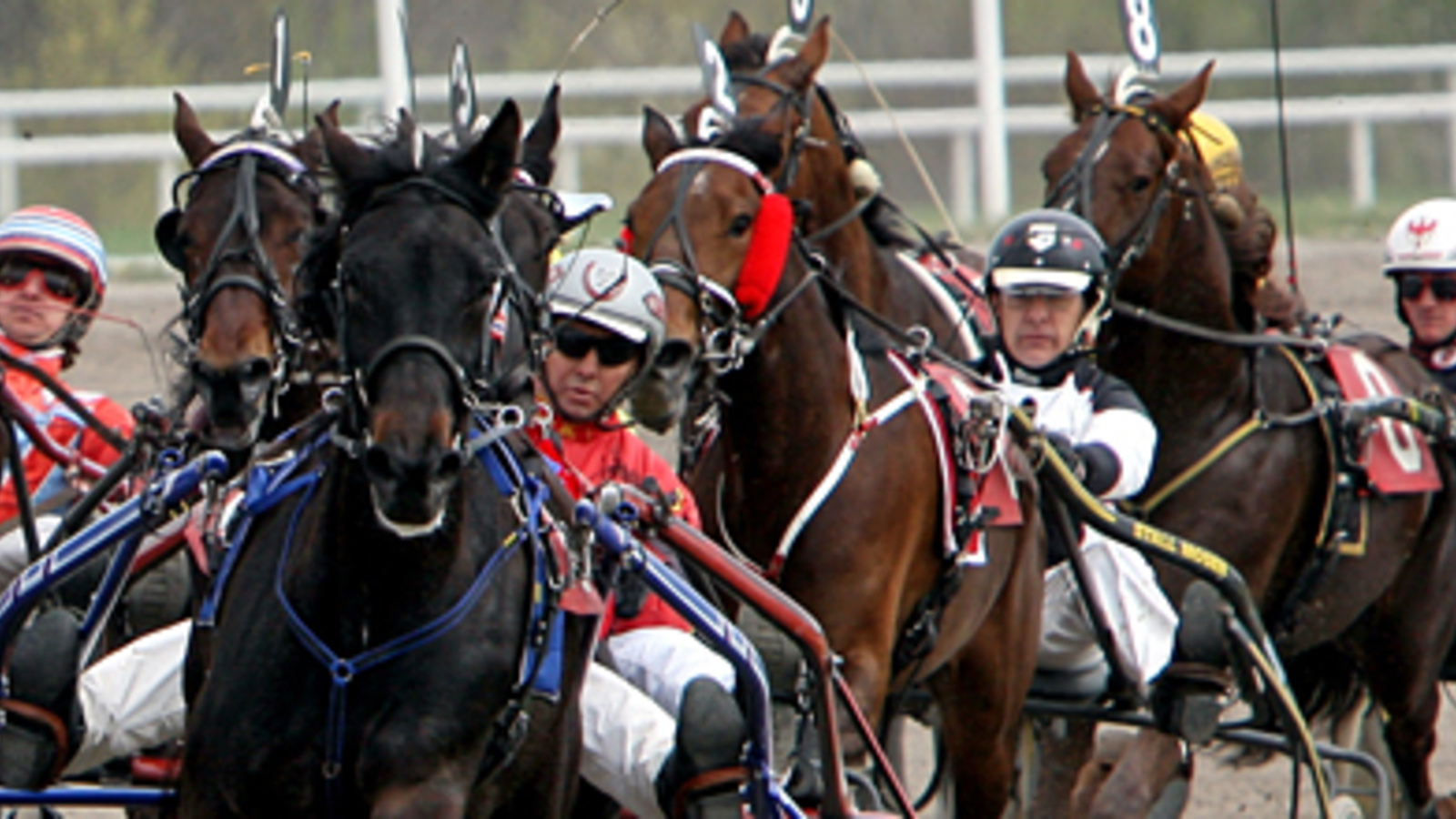 Familientag Ebreichsdorf Magna Racino
