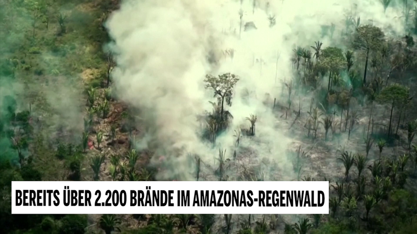 Amazonas Regenwald brennt wieder lichterloh