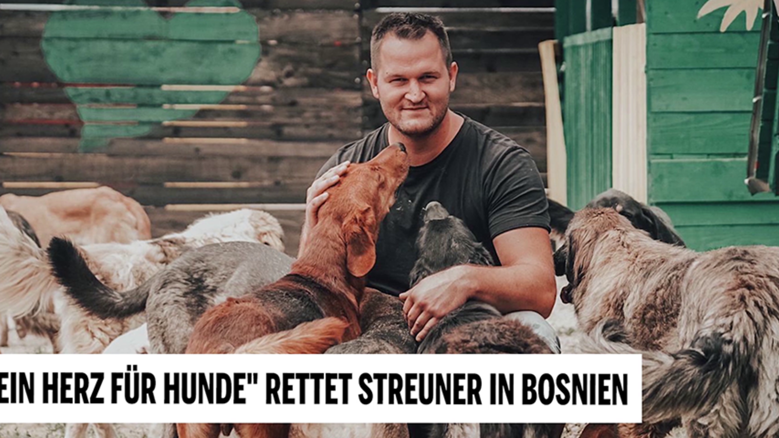 "Ein Herz für Hunde" rettet Streuner