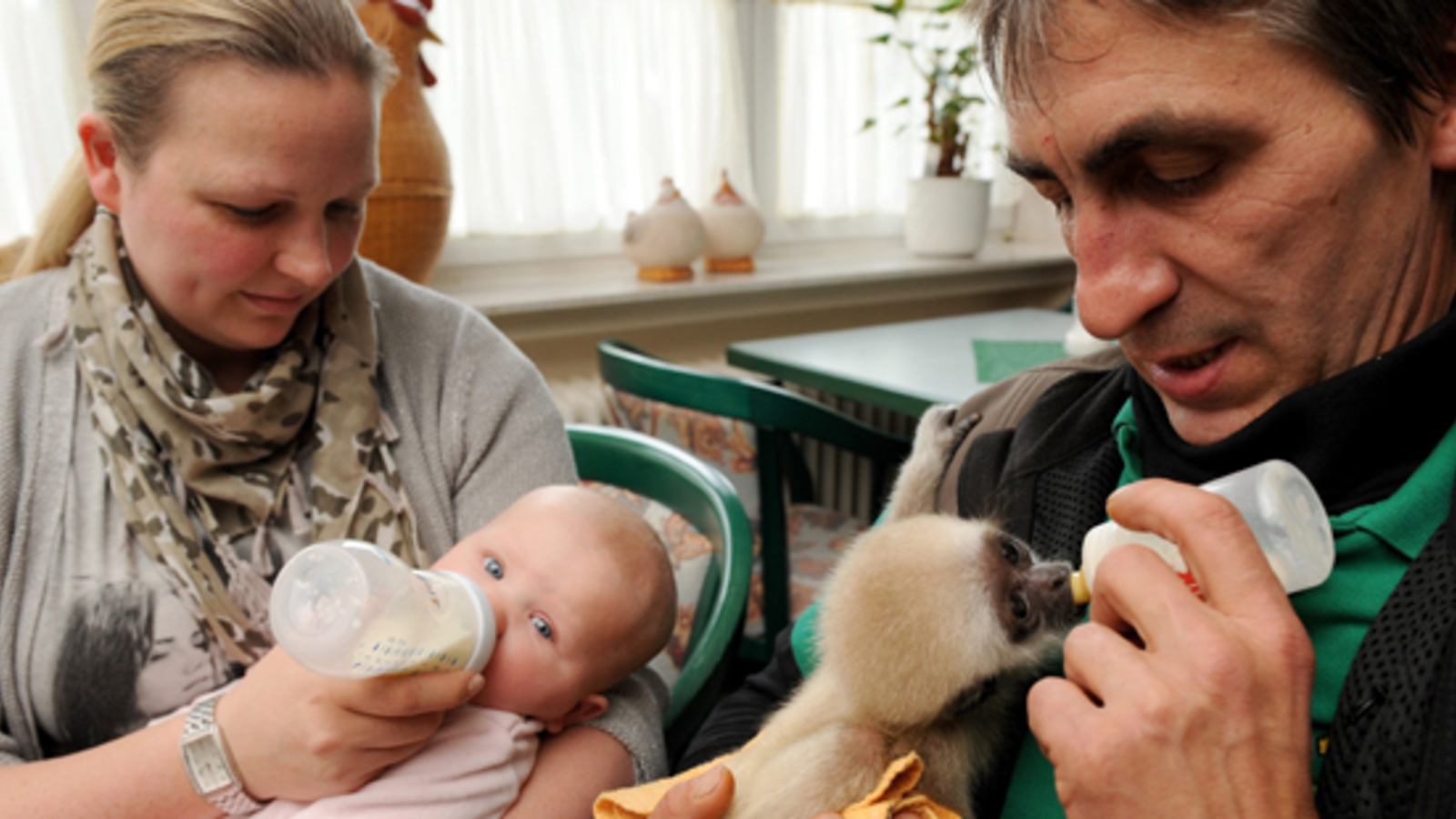 Affenbaby wächst mit Menschenbaby auf