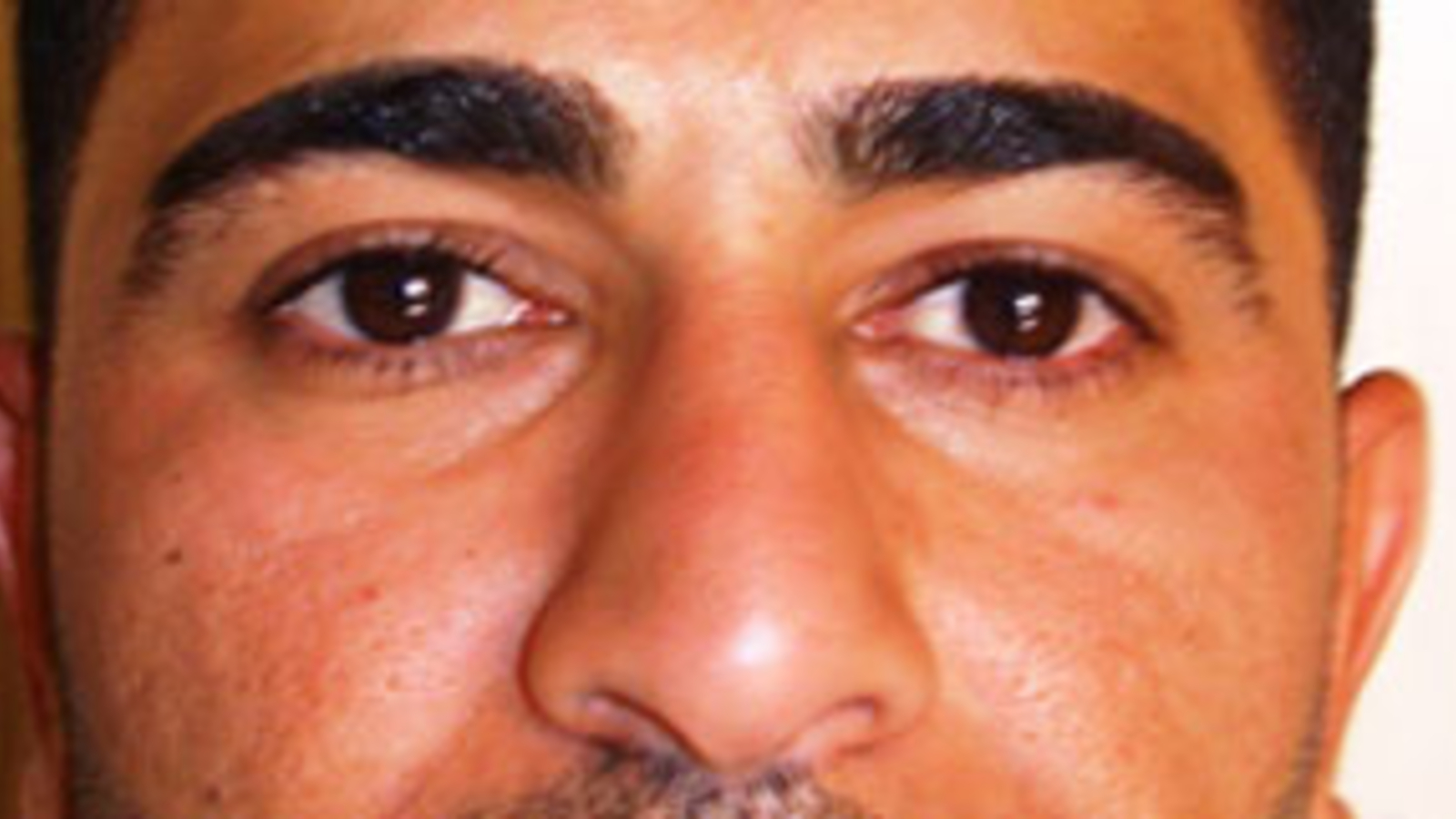 Das sind Nussbaumers Entführer