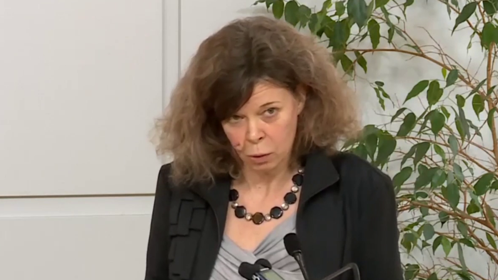 Verein Zara: Rassismus-Report 2021 - oe24.at