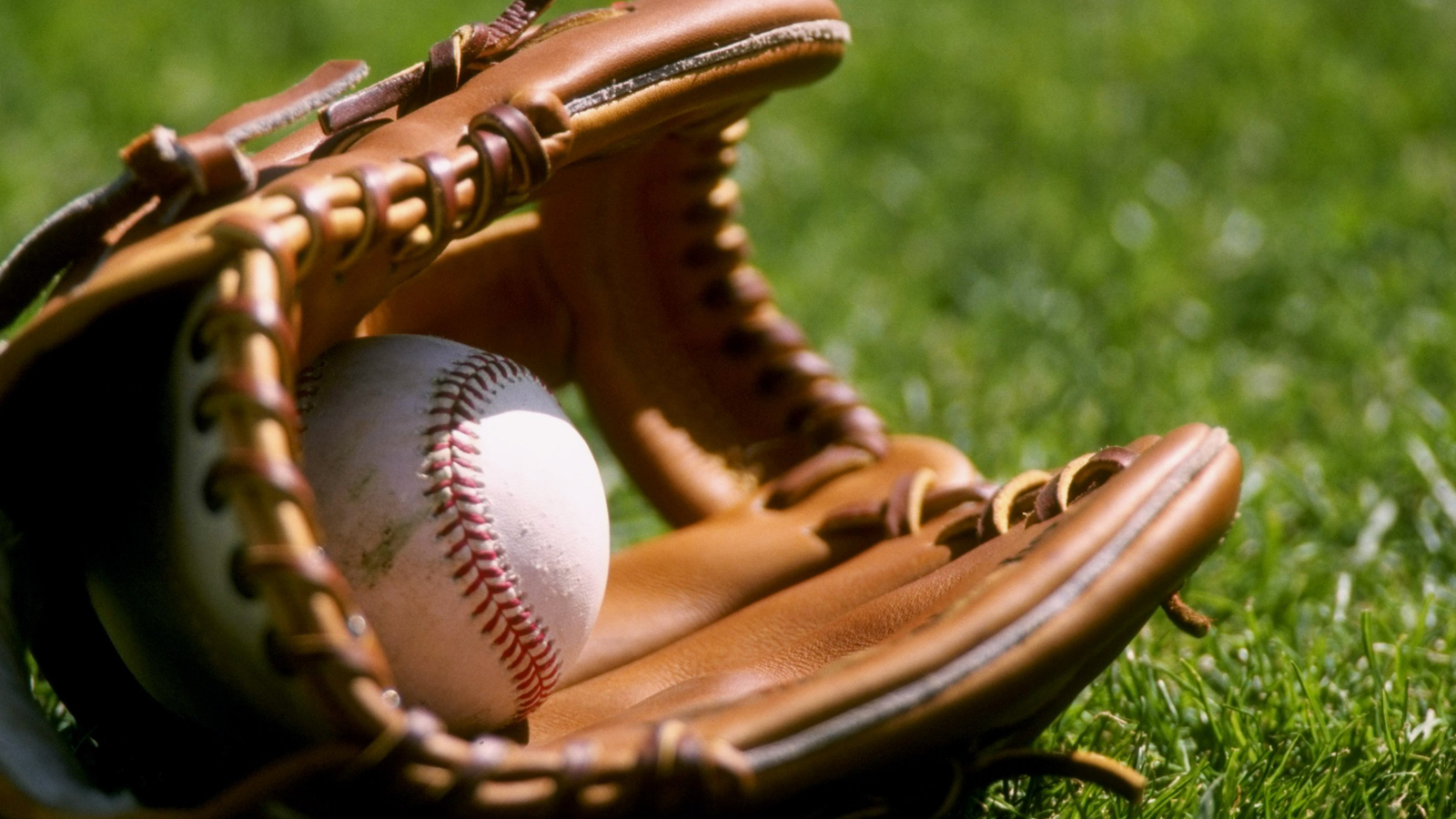 Vienna Wanderers im Doubleheader siegreich