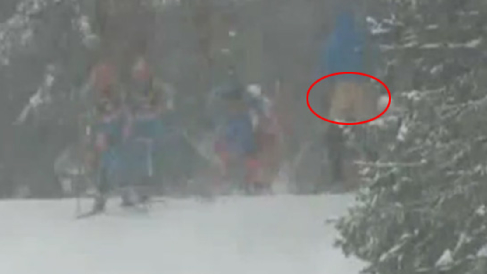 Biathlon-Stars als "Flitzer" beim Weltcup