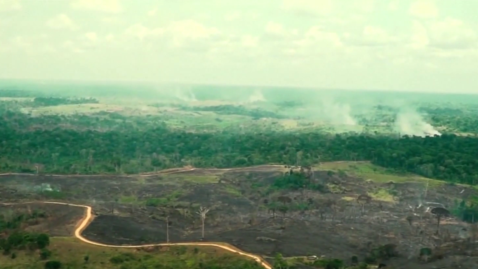 Brasilien stoppt illegale Regenwald-Rodungen erst 2030