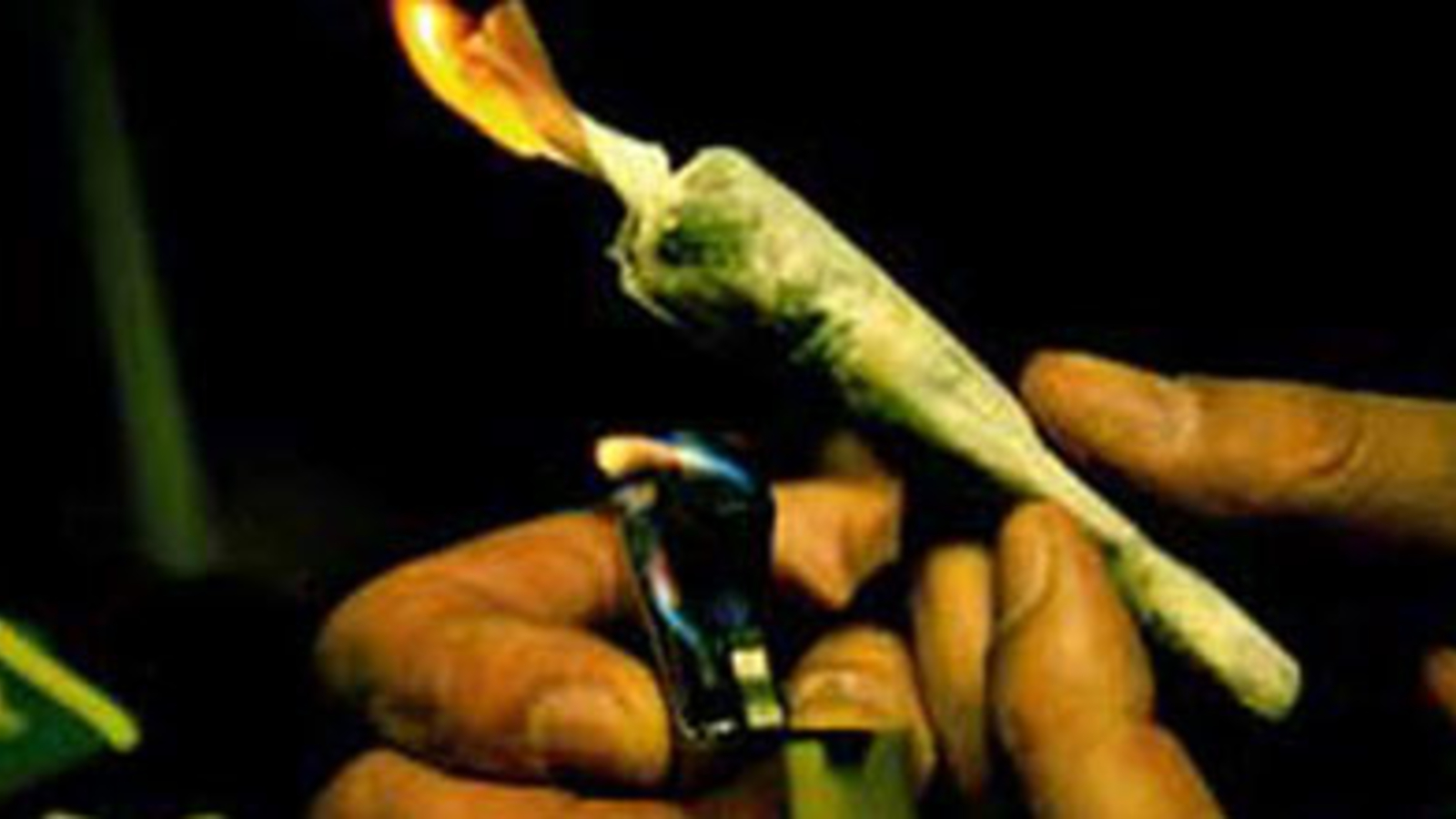 Holland will Hasch-Tourismus stoppen