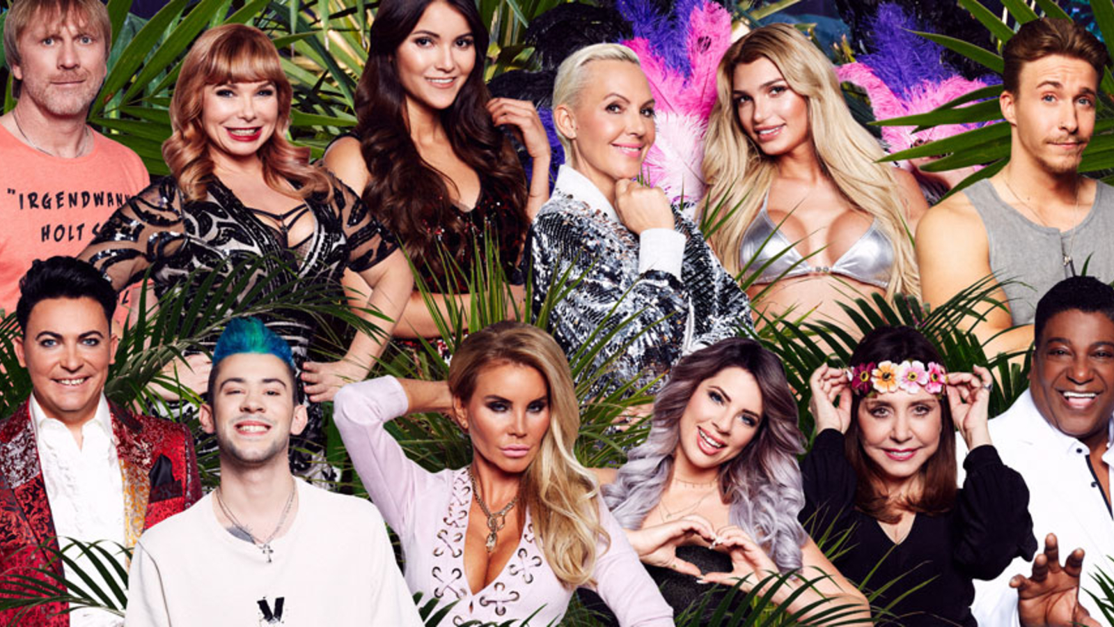 Null Star-Faktor im Ekel-Camp