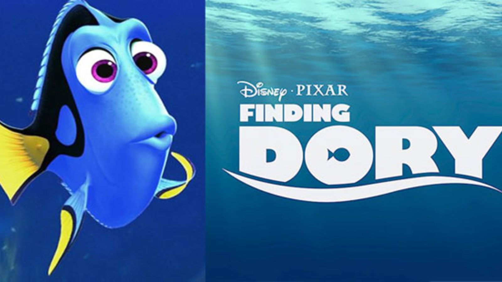 Findet Nemo Teil 2: "Findet Dory"