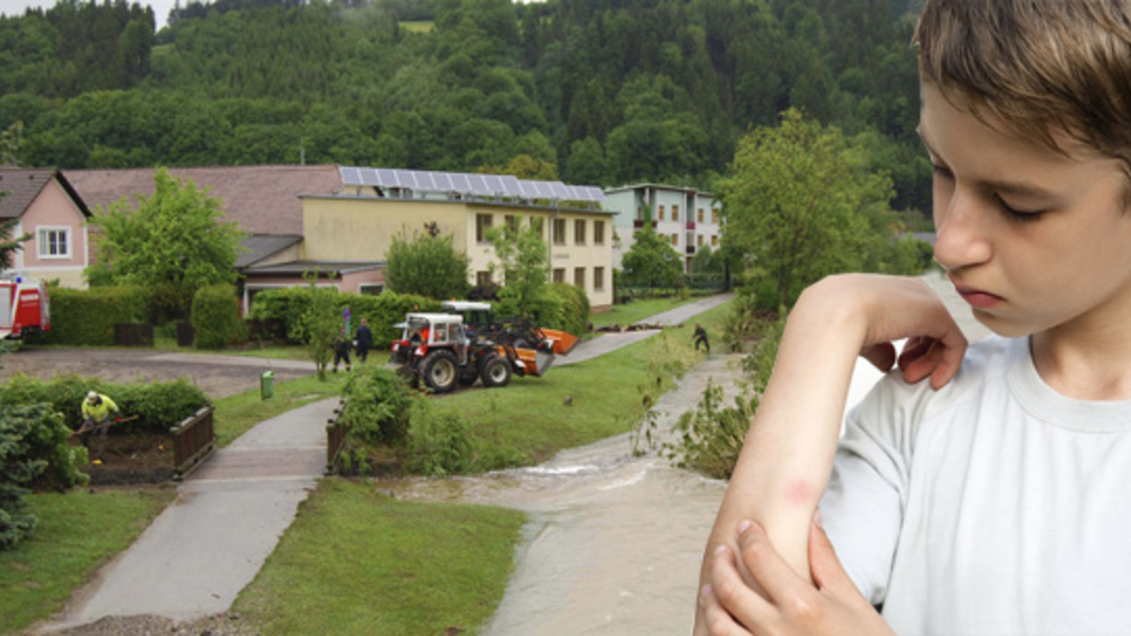 Gelsen Österreich 2014 - oe24.at