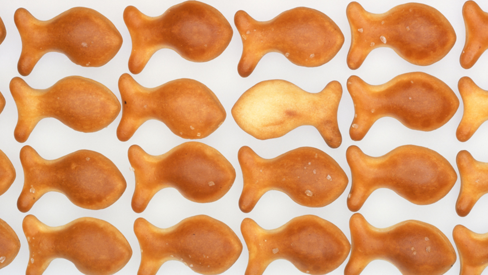 So machen Sie Käse-Goldfischli selbst