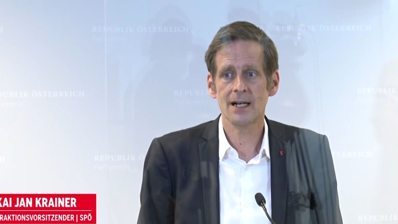 Kai Jan Krainer zum Ibiza-U-Ausschuss - oe24.at
