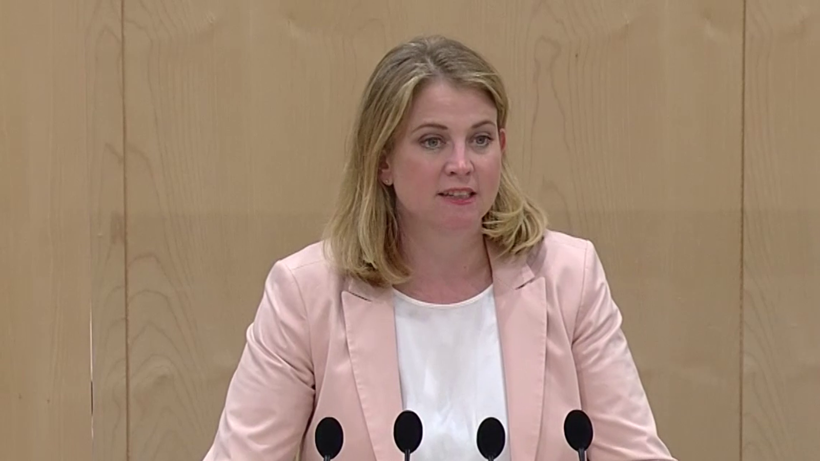 Beate Meinl-Reisinger: Kurz im Visier der Opposition - oe24.at