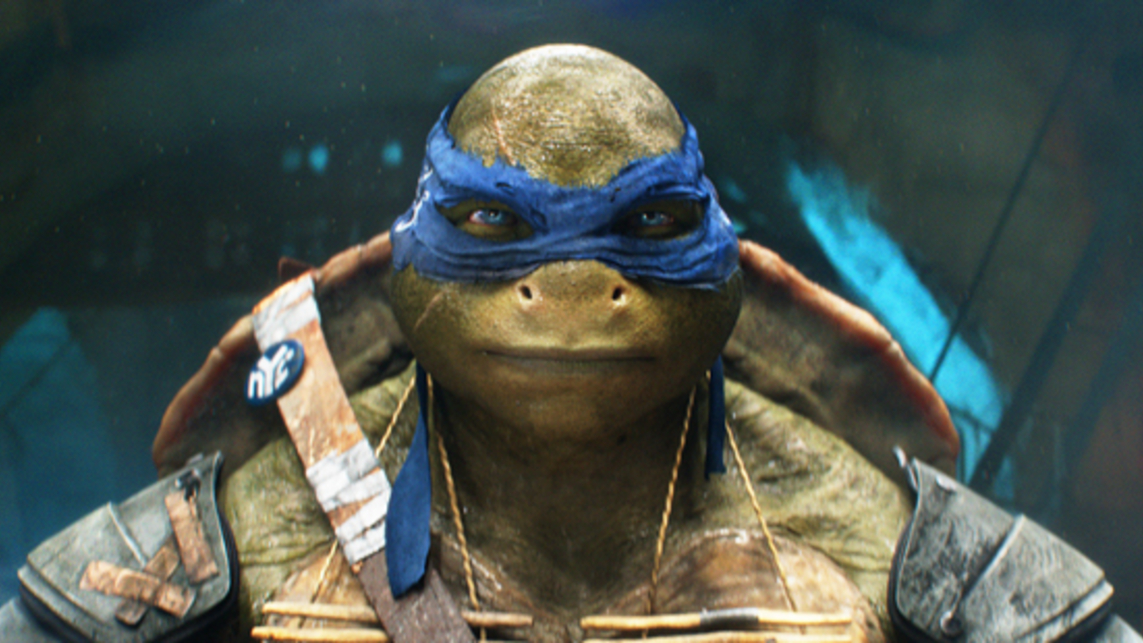 Ninja Turtles sind zurück im Kino - oe24.at