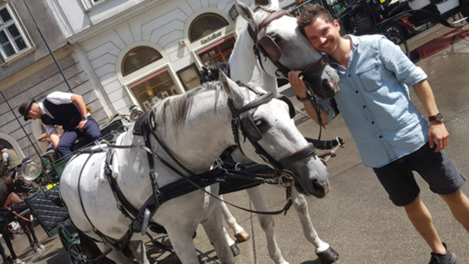 So haben Sie die Wiener Fiaker noch nie erlebt! - oe24.at