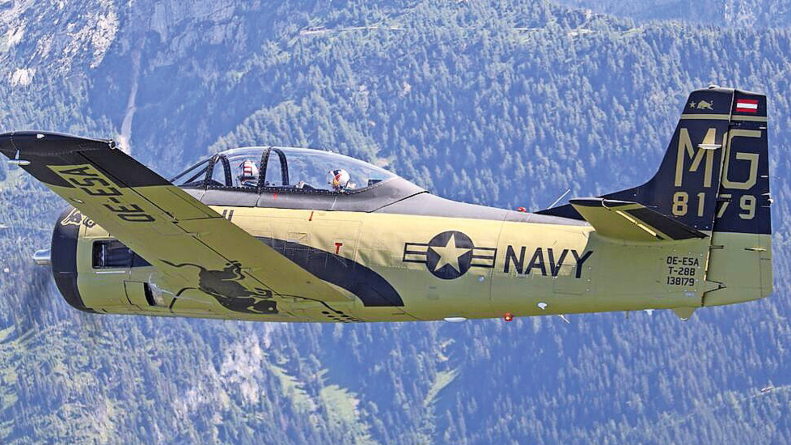 Flying Bulls: Jetzt spricht Überlebender