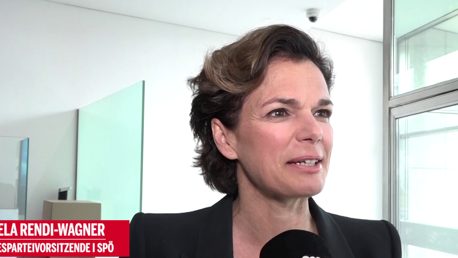 Rendi-Wagner zur SPÖ-Mitgliederbefragung - oe24.at