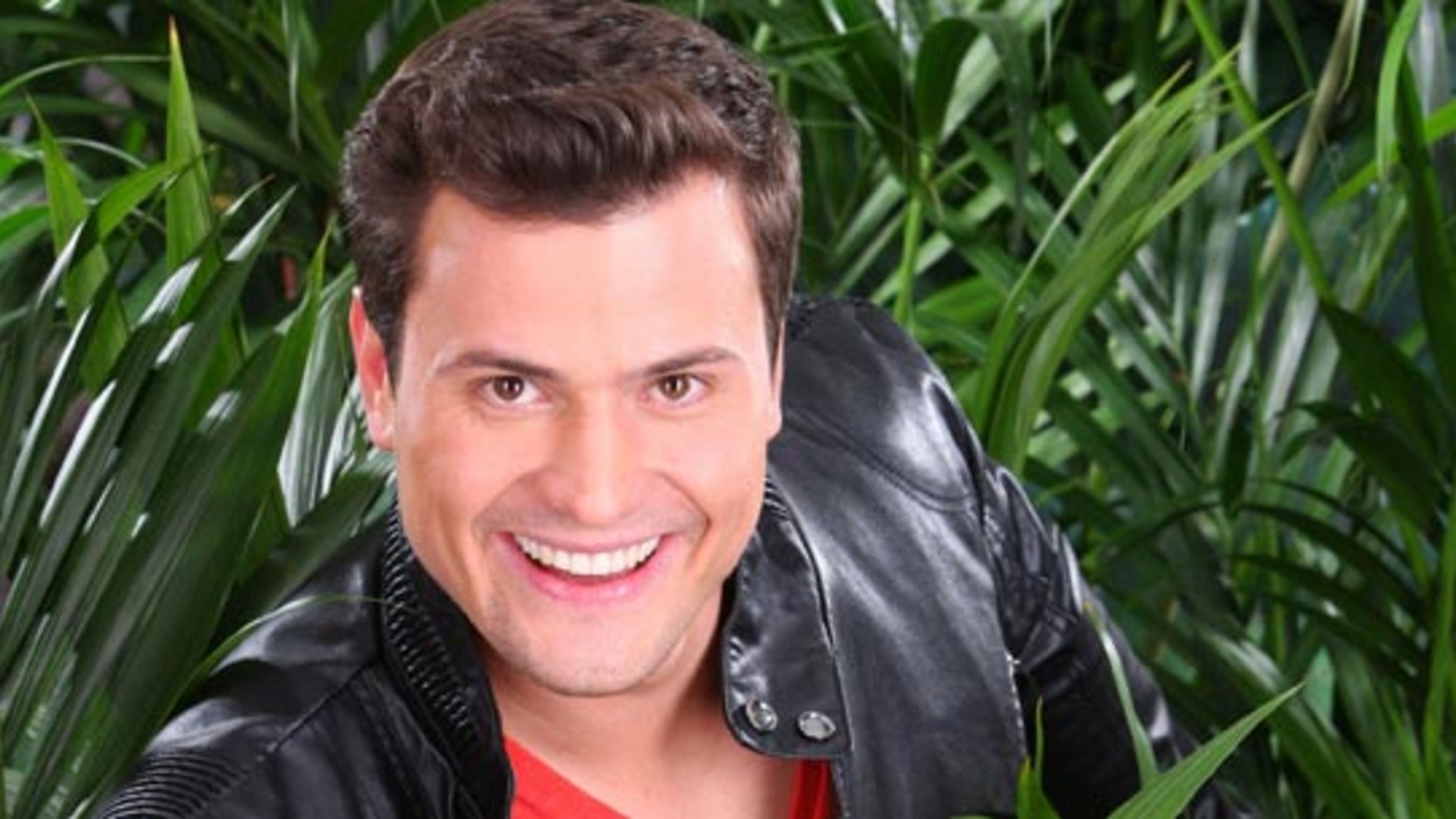 Rocco Stark - oe24.at