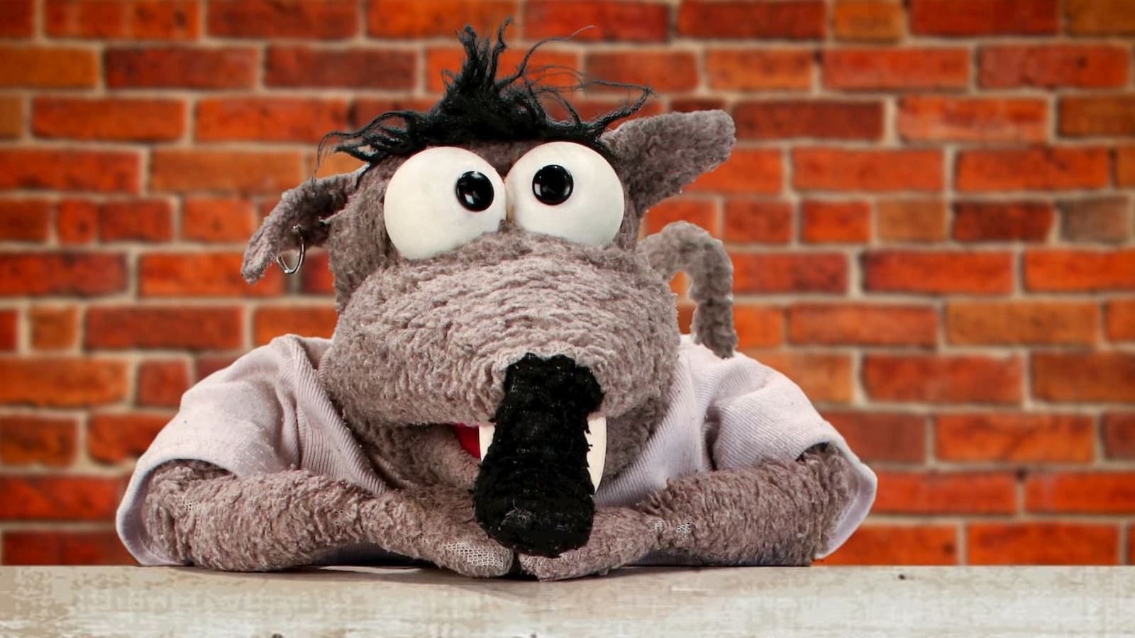 Rolf Rüdiger: "Zumpferl oder kein Zumpferl?"