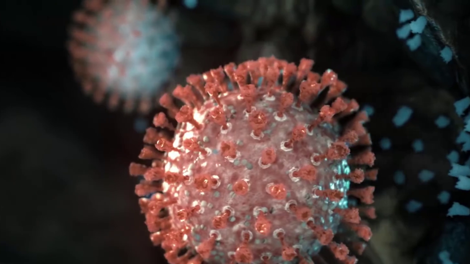 Omikron: Was wir bisher über sie Super-Variante wissen - oe24.at