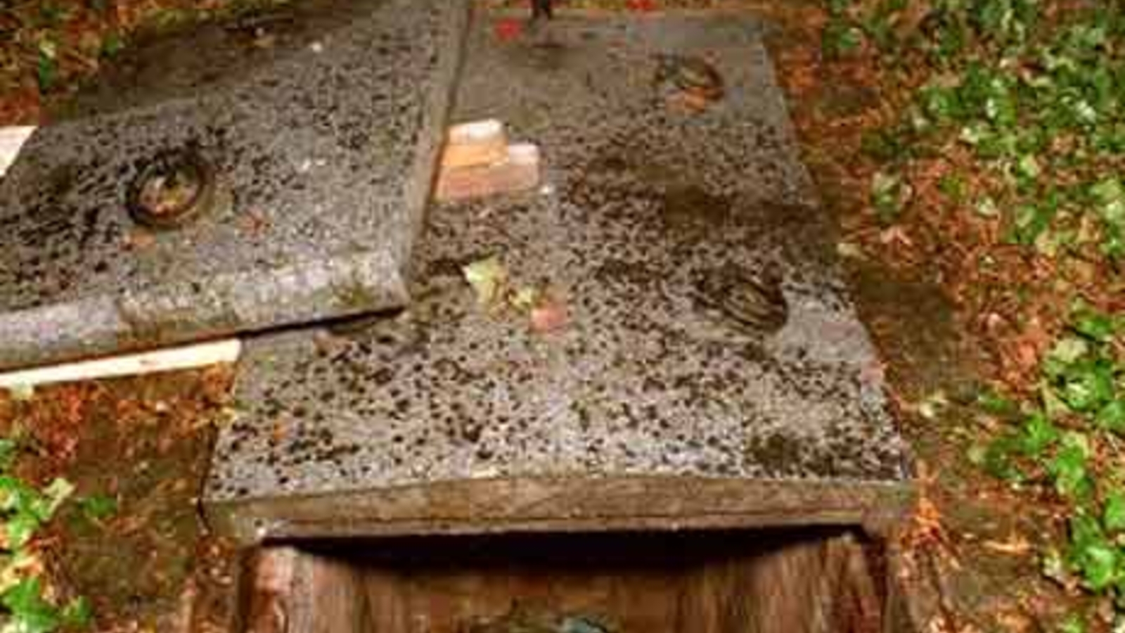 1991 wurden Überreste von Mary Vetsera gestohlen