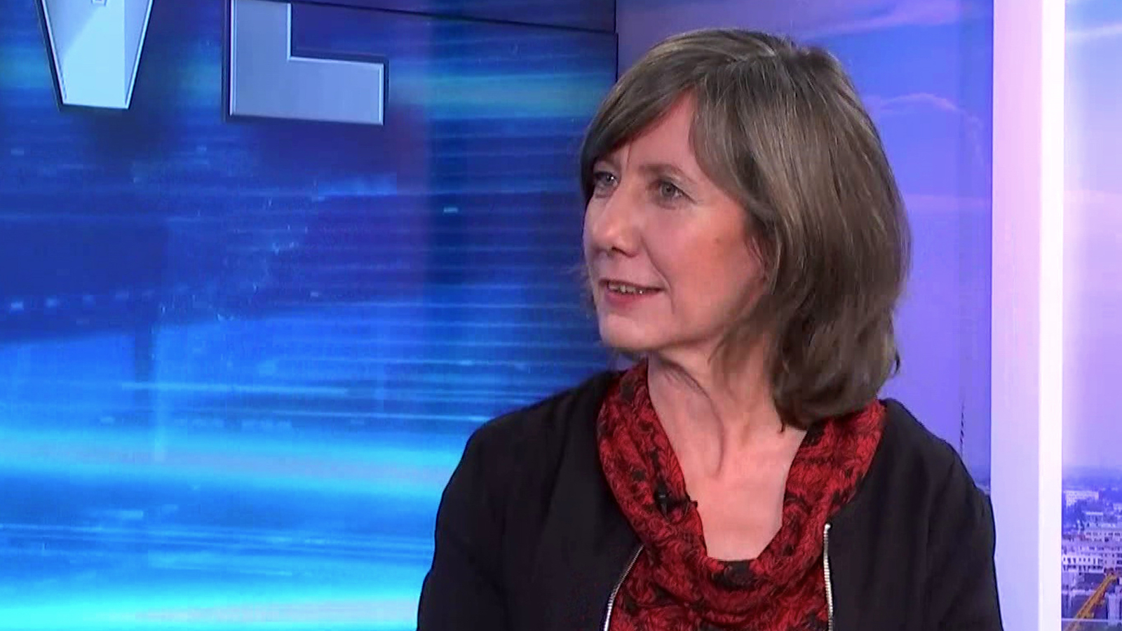 Fellner! Live: Birgit Hebein im Interview