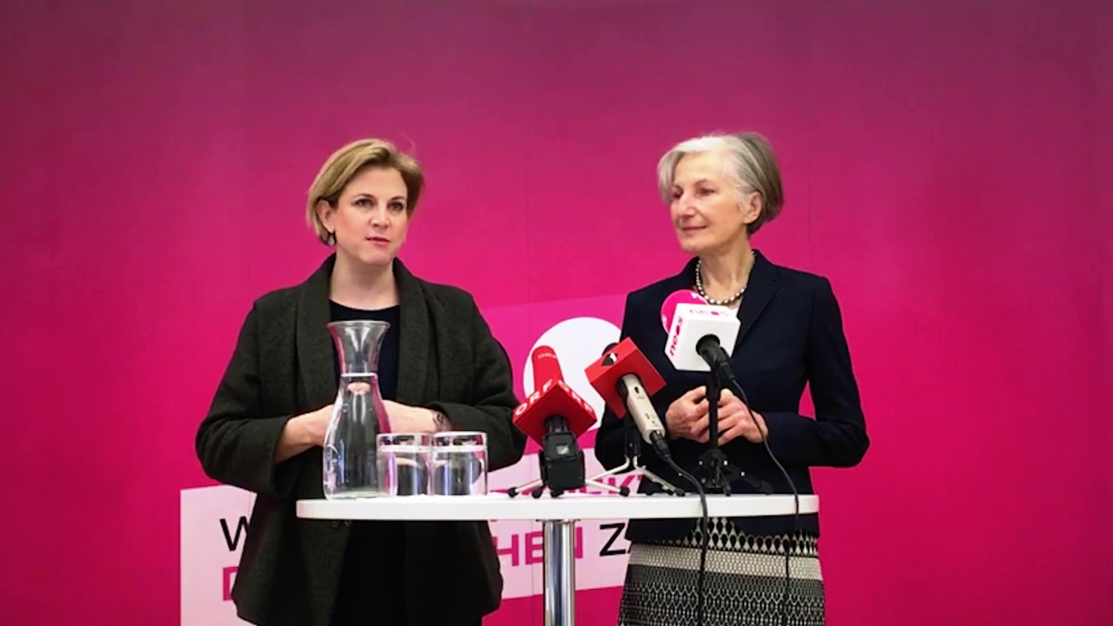 Innenminister Kickl: NEOS stellen Misstrauensantrag