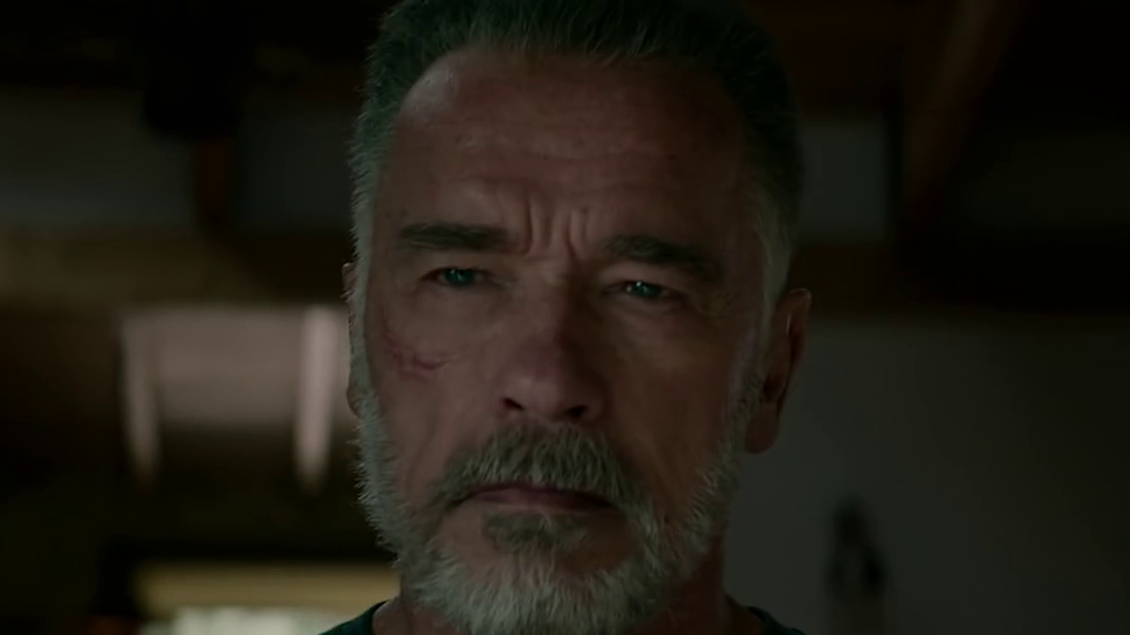 Fulminanter Kinostart mit Arnie als Terminator