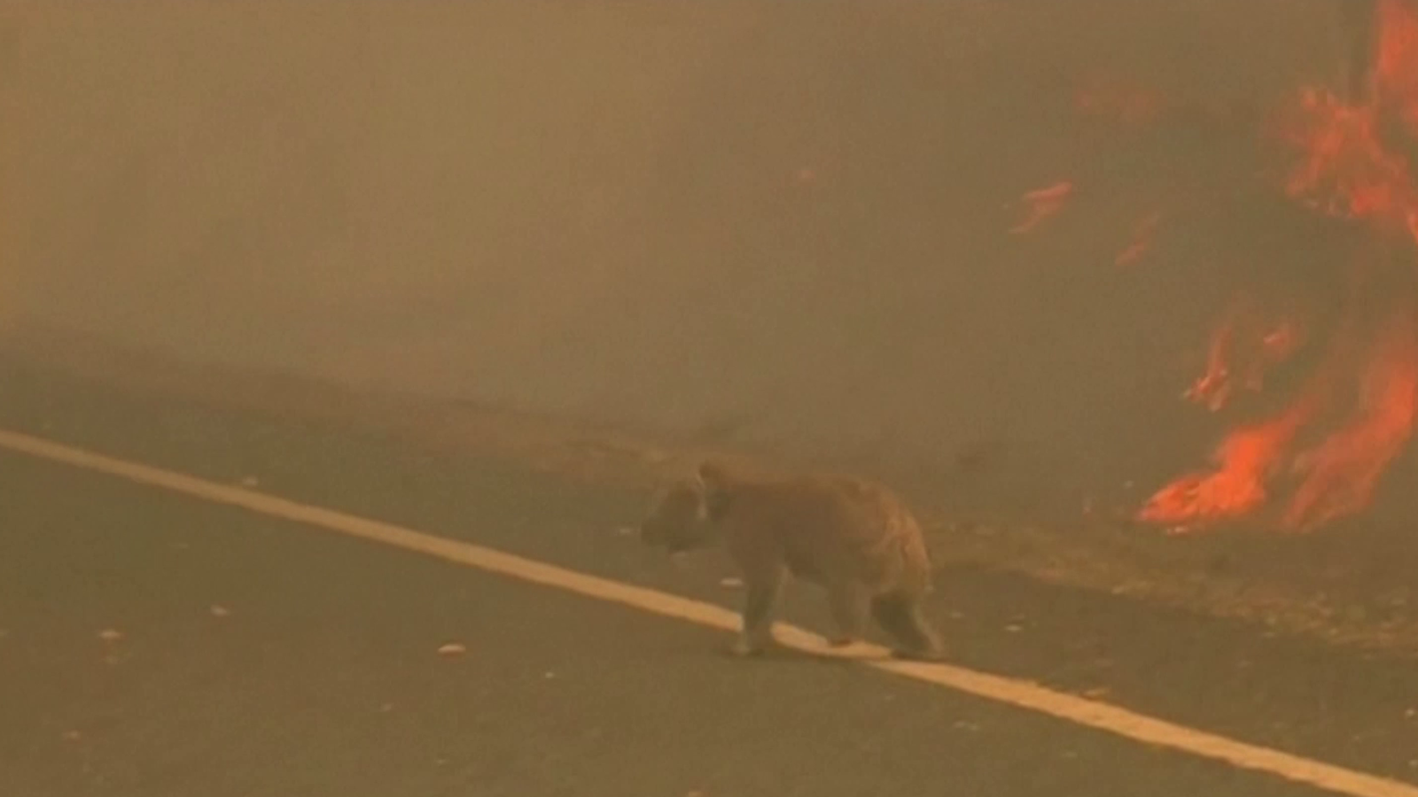 Feuermann als Feuerteufel