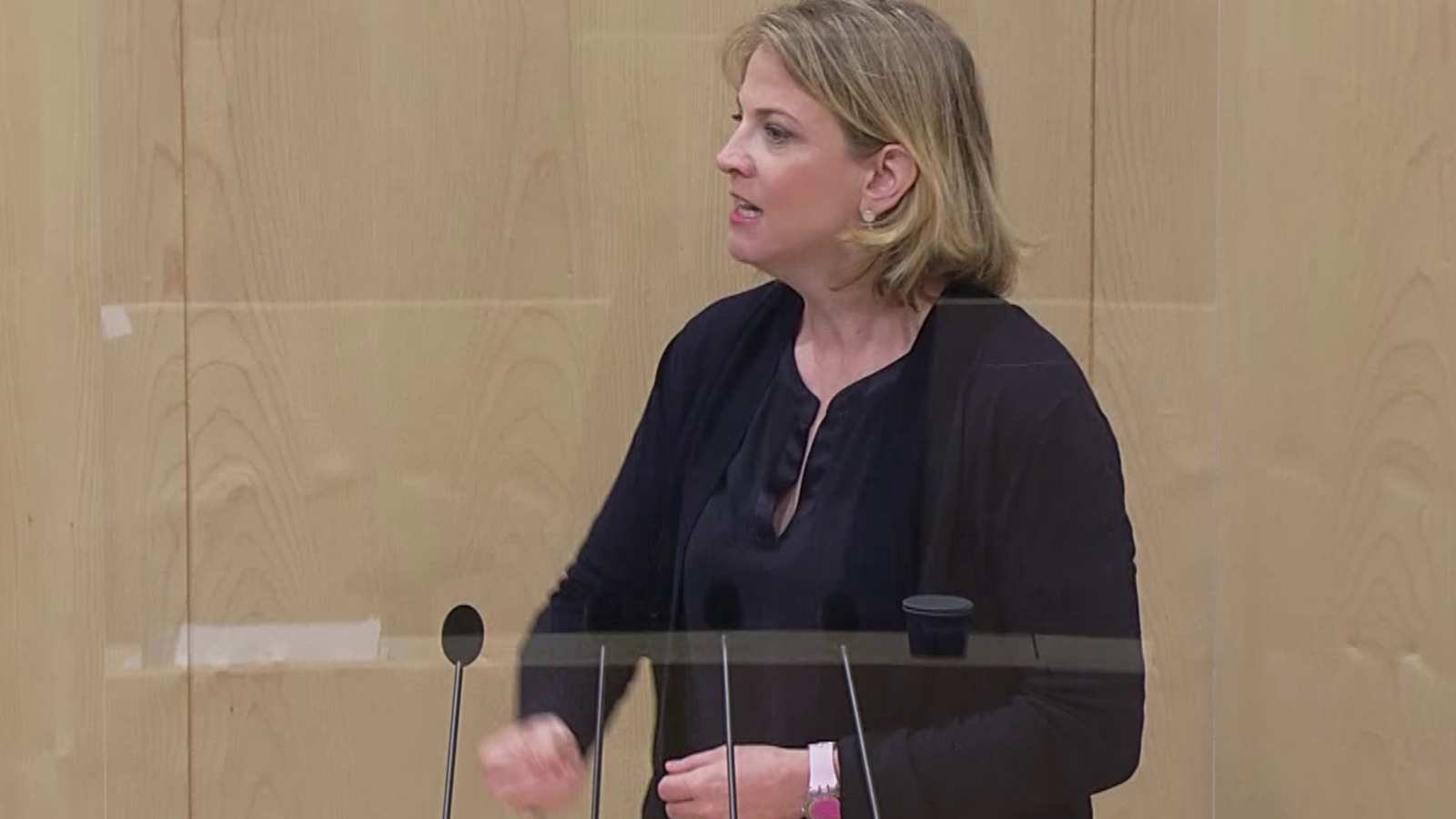 Rede von Beate Meinl-Reisinger - oe24.at